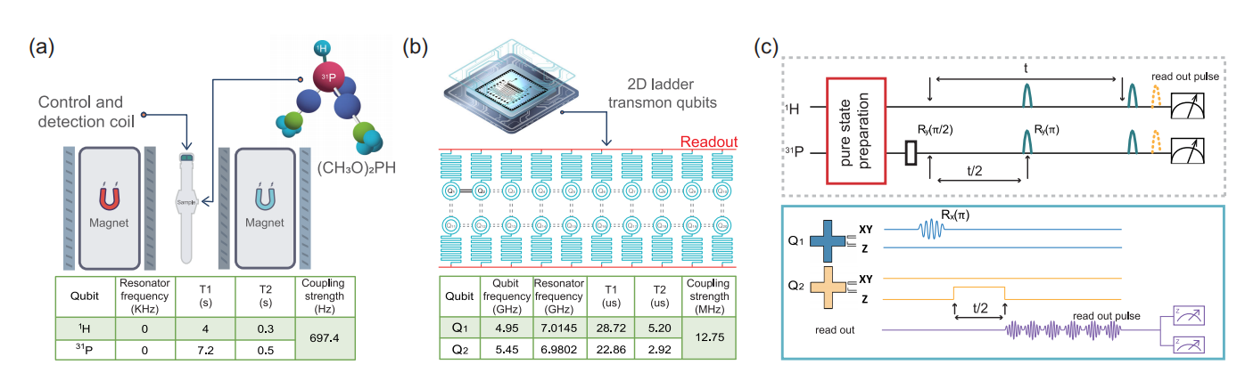 SpinQ Joint Team Develops Dual-Capability Machine Learning Models, Published in Physical Review ...