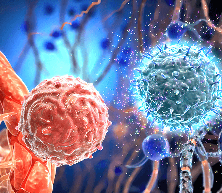 Quantum Computing Enterprise Solutions: A Complete Guide | SpinQ